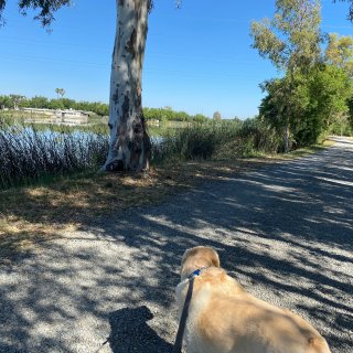 Thousand Trails Lake Minden - Nicolaus, California - RV LIFE Campground ...
